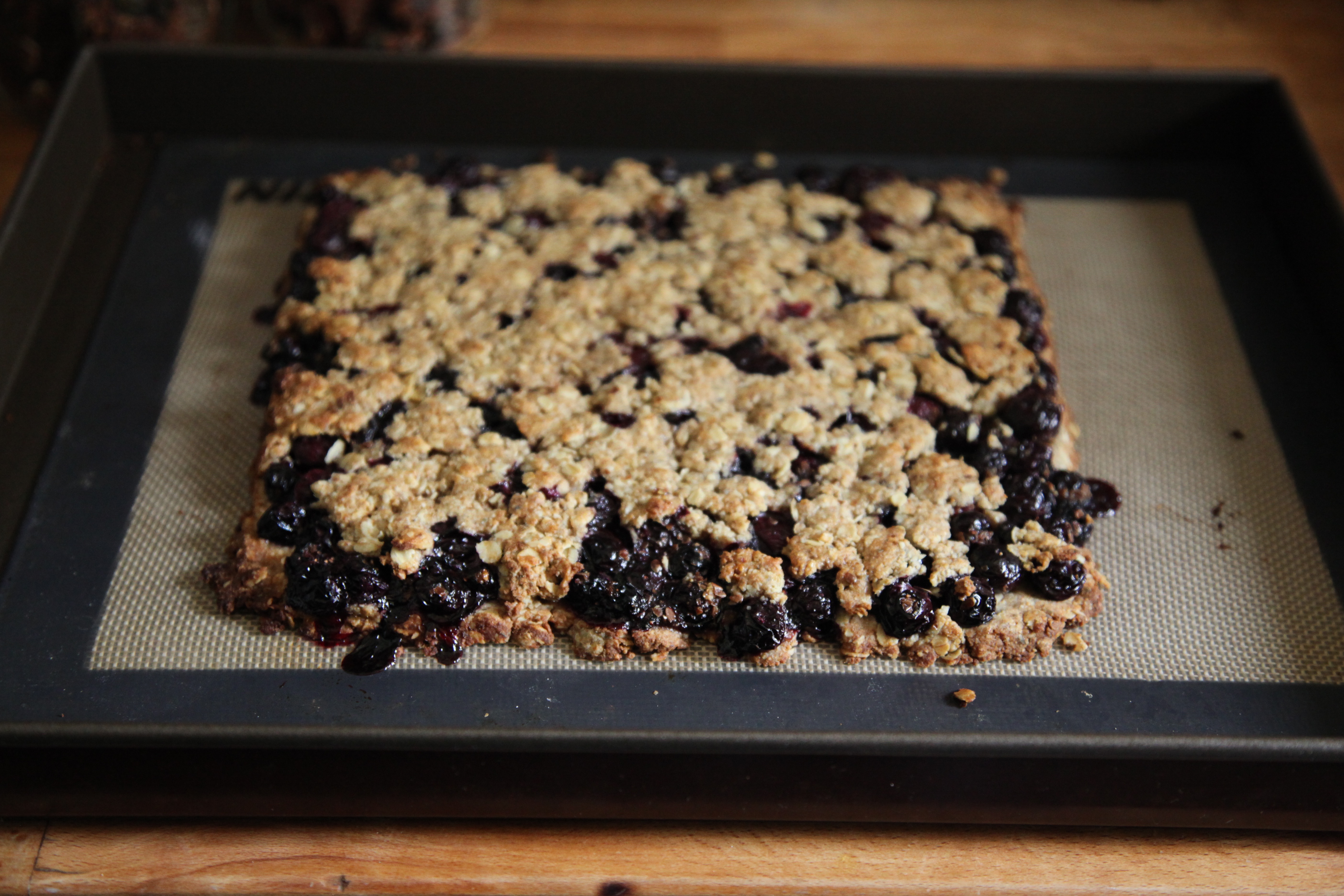 Blueberry Rye Energy Bars Go Anywhere – Adventure Journal