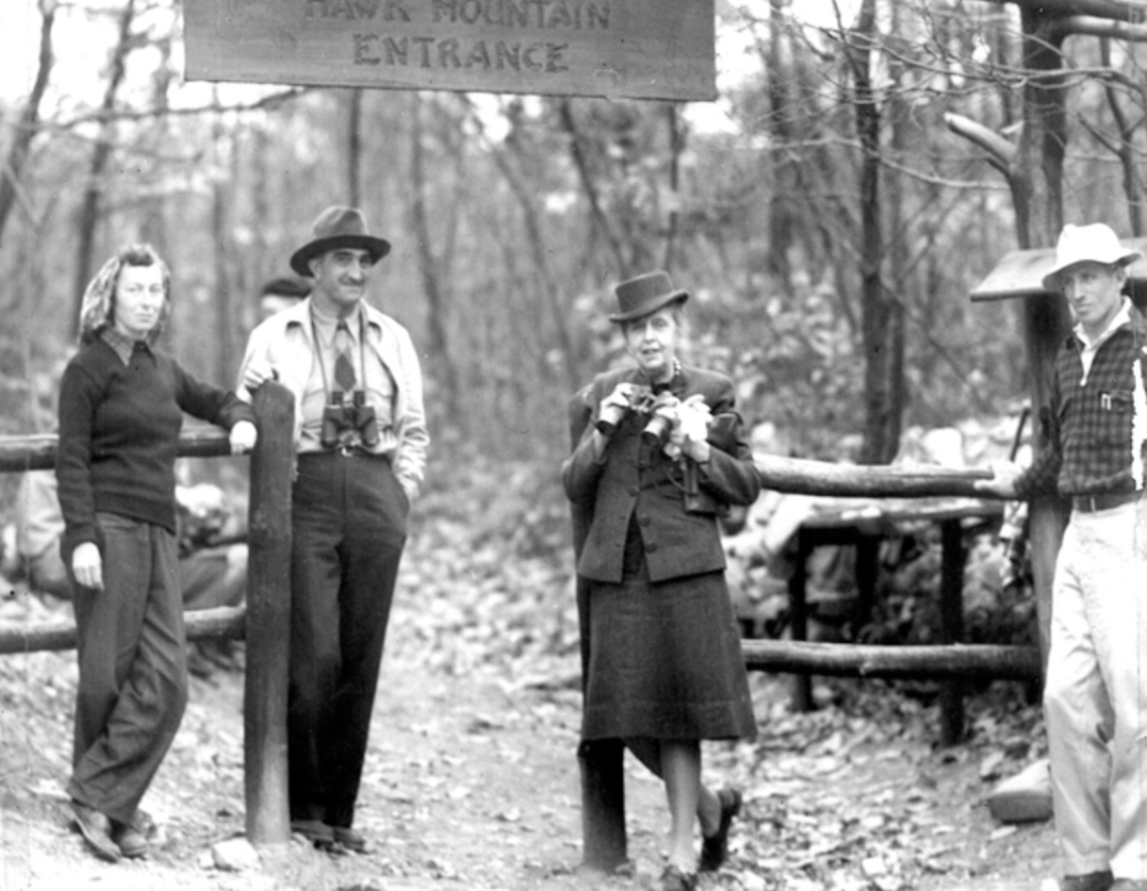 How Socialite Rosalie Edge Became the Conscience of American ...