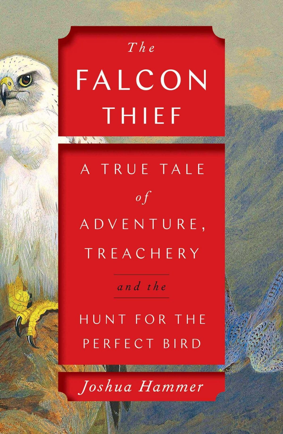 Meet the Notorious ‘Pablo Escobar’ of Bird Egg Poaching – Adventure Journal