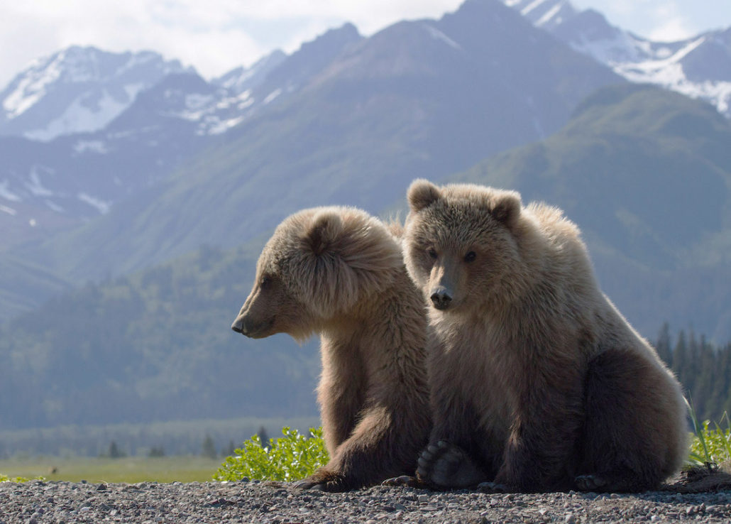 Meet Charlie Russell: The Man Who Talked With Bears – Adventure Journal