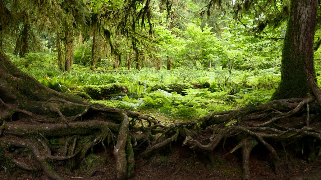Why We Must Protect the World’s Quiet Places – Adventure Journal
