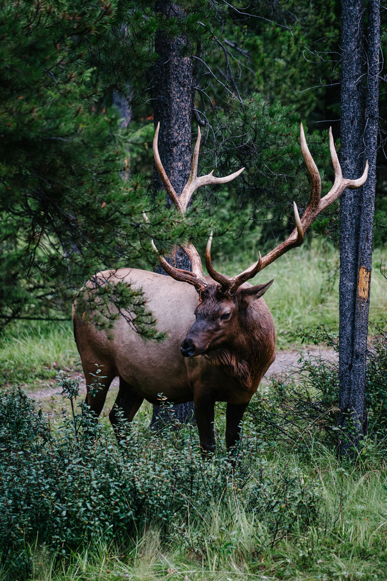 Elements of Fall – Adventure Journal